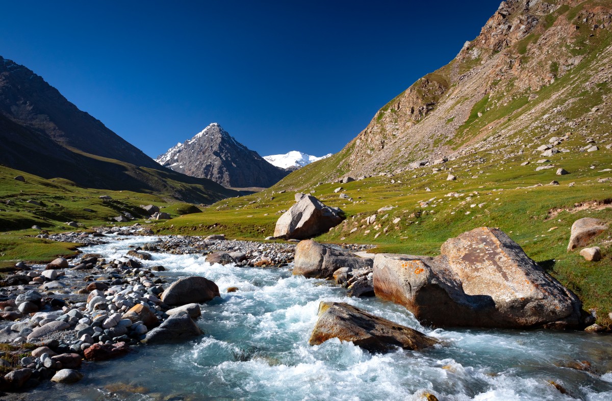 World Restoration flagships